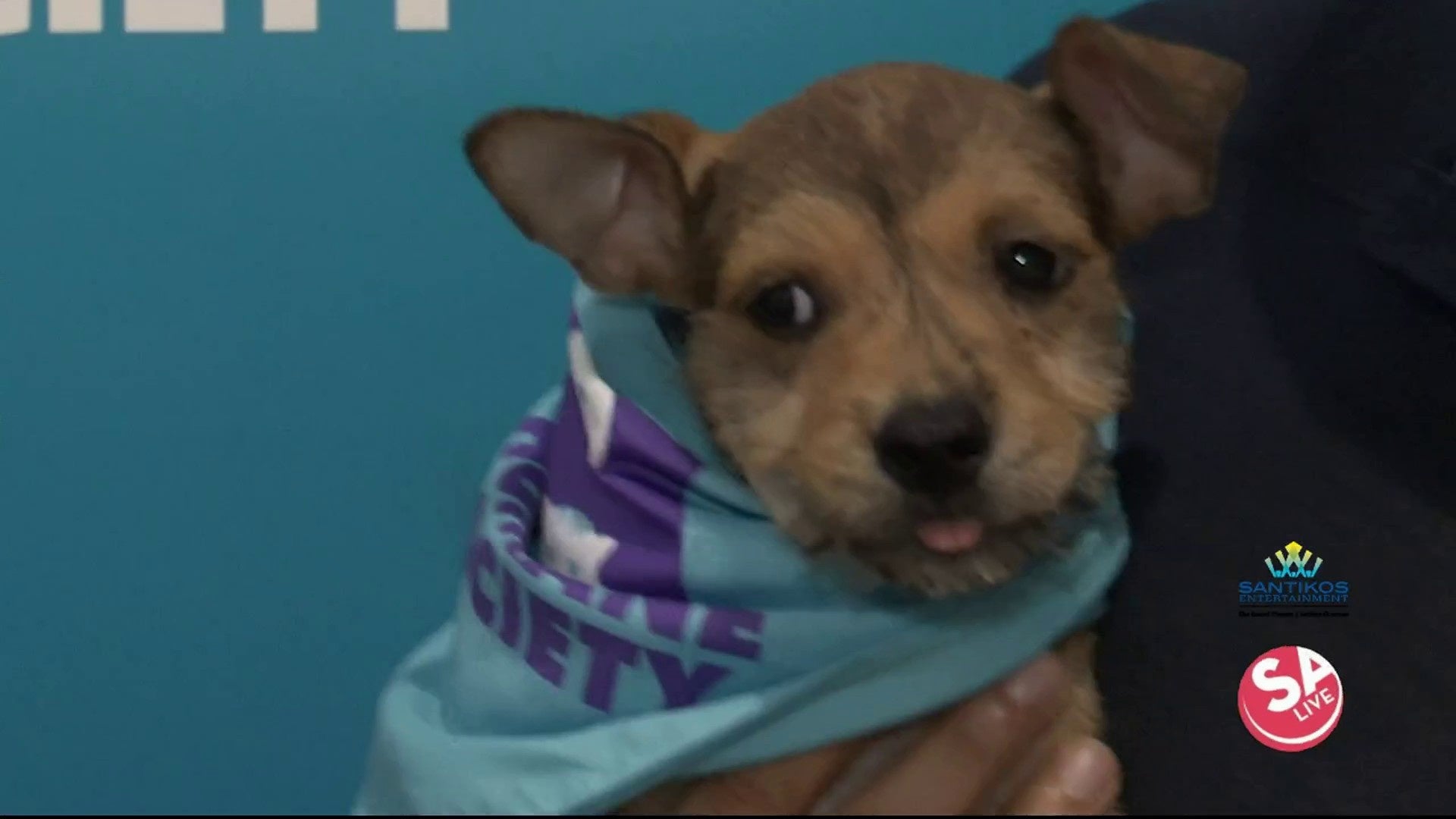 SA Live | Daily Variety and Feature Show | KSAT