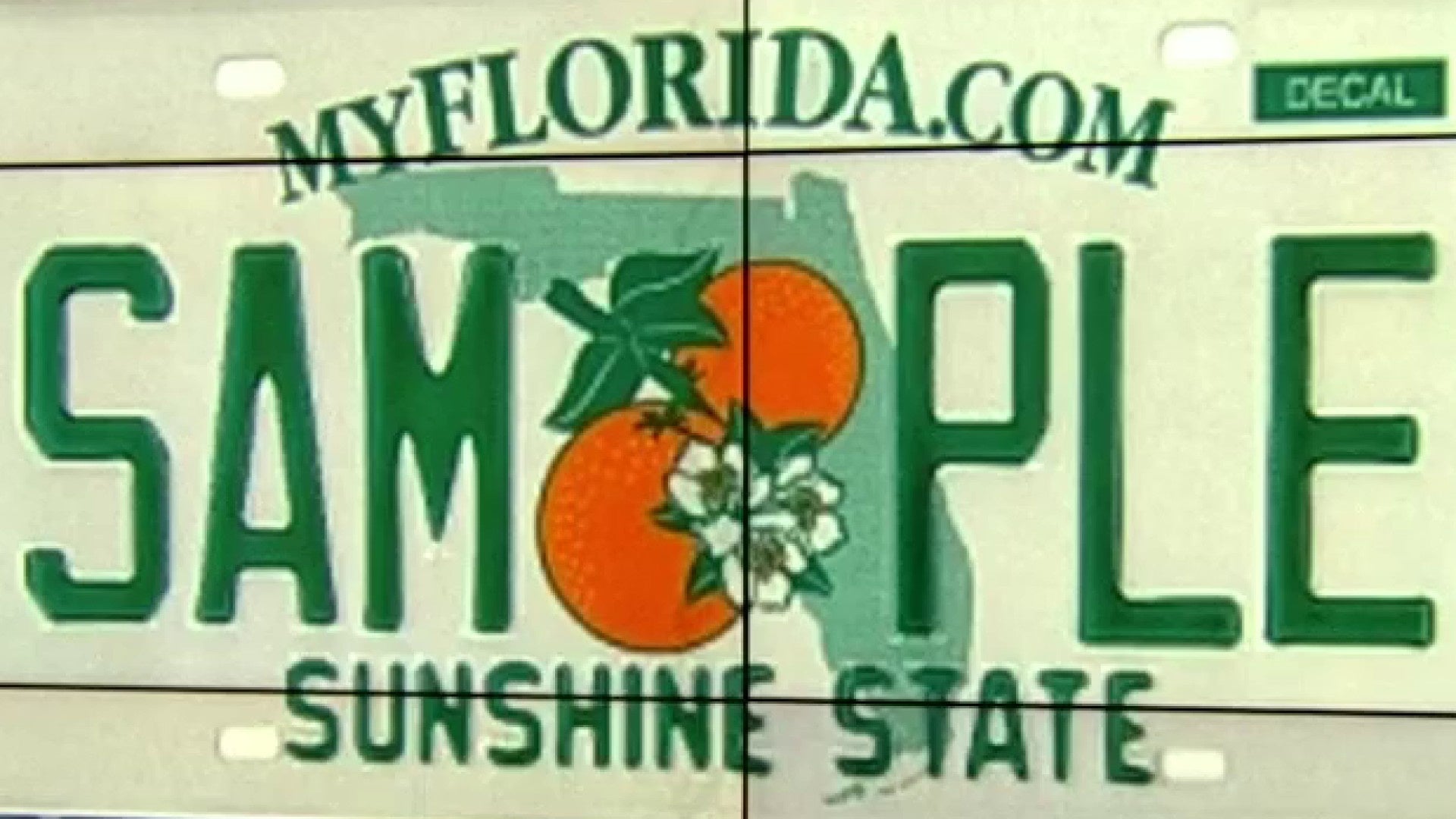 Ask Trooper Steve: License plates